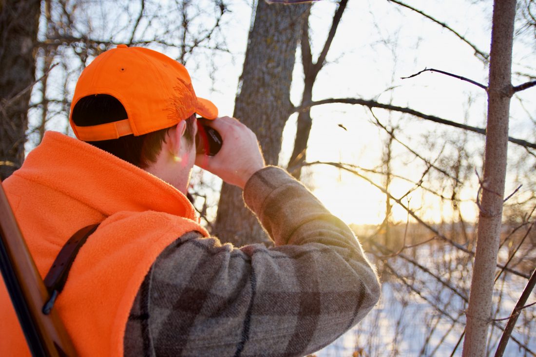 A beginner's guide to spot-and-stalk hunting - The Ultimate Predator