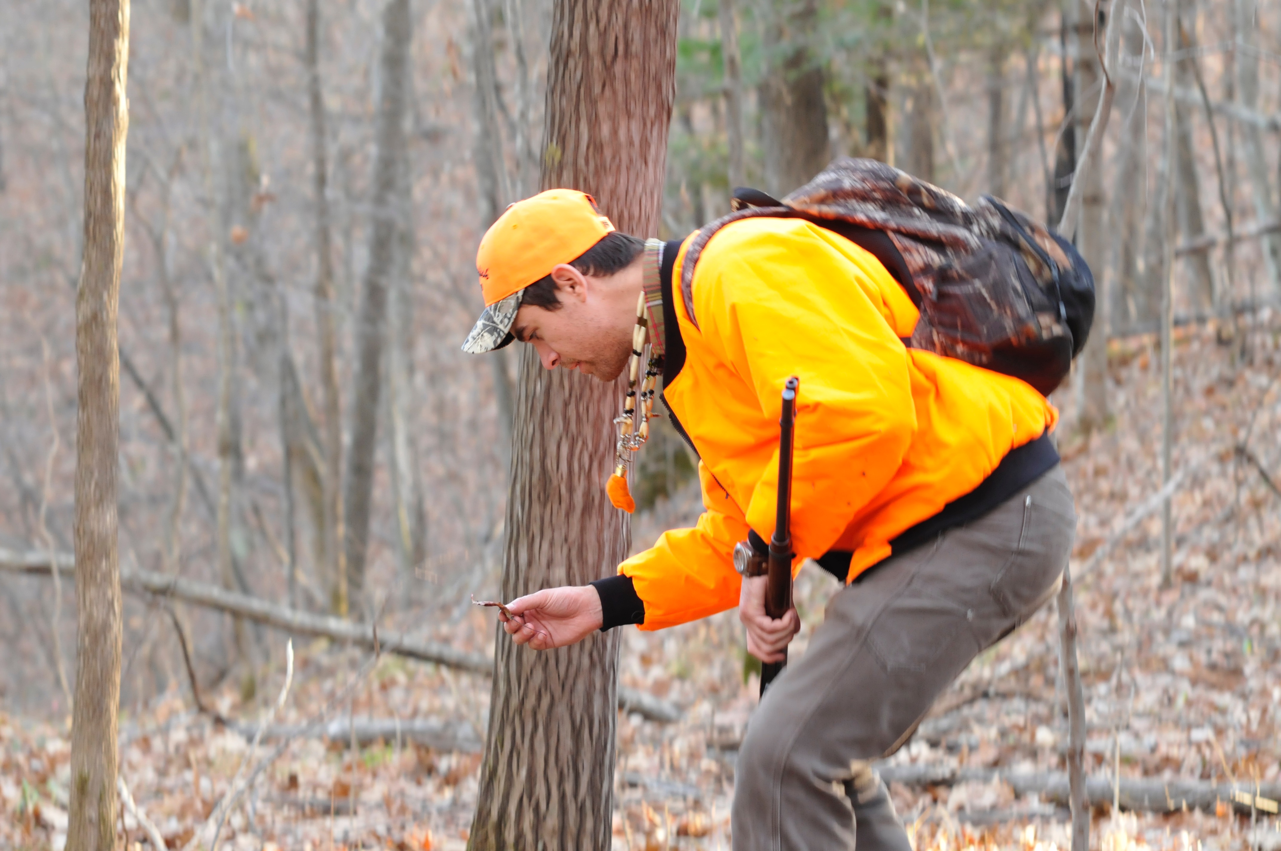 Find your deer before the coyotes do - The Ultimate Predator