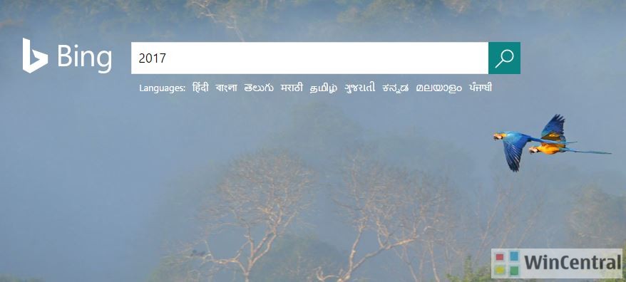 Microsoft, Bing, new update, new features