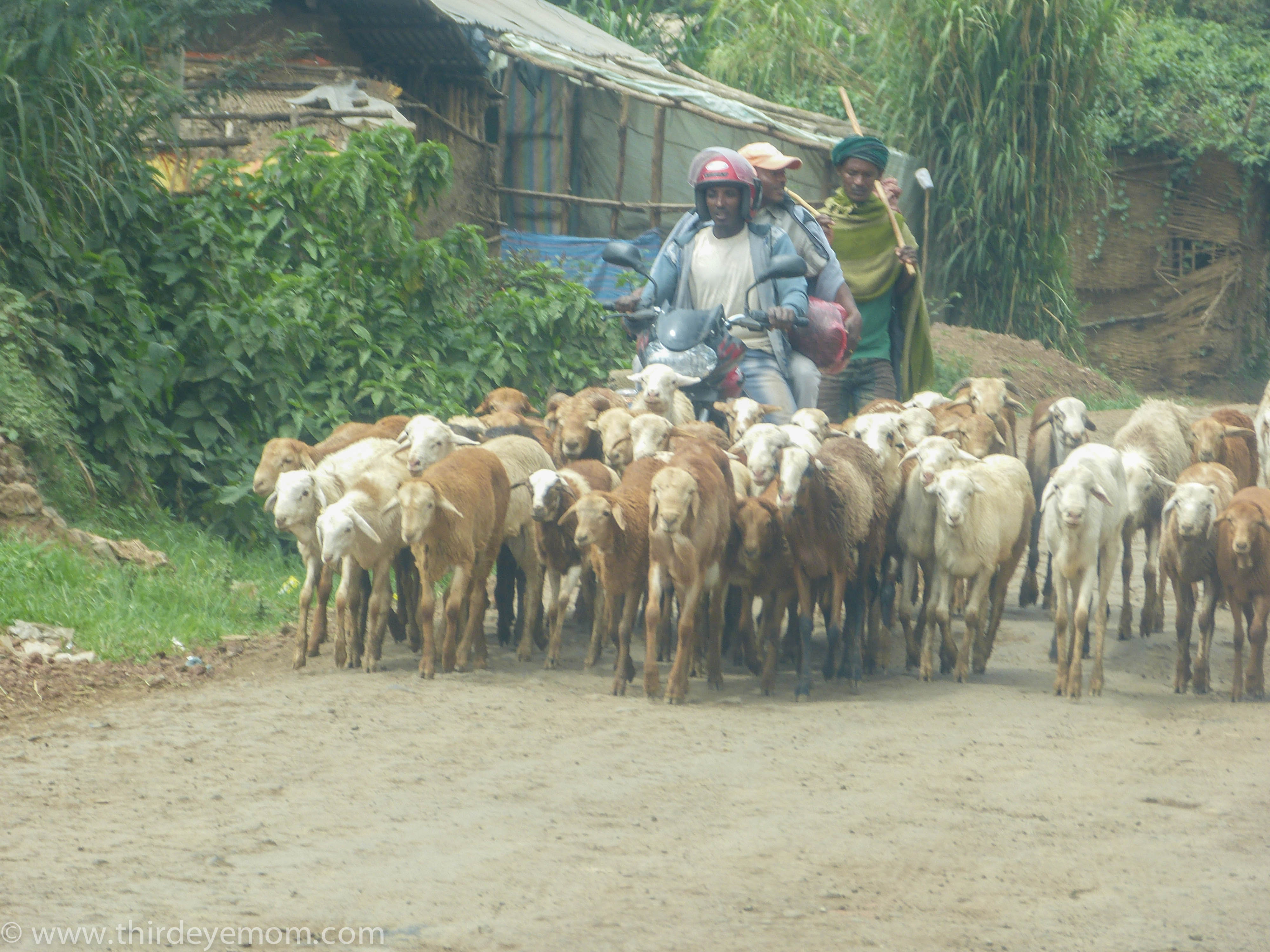 Rural life in Ethiopia - Thirdeyemom