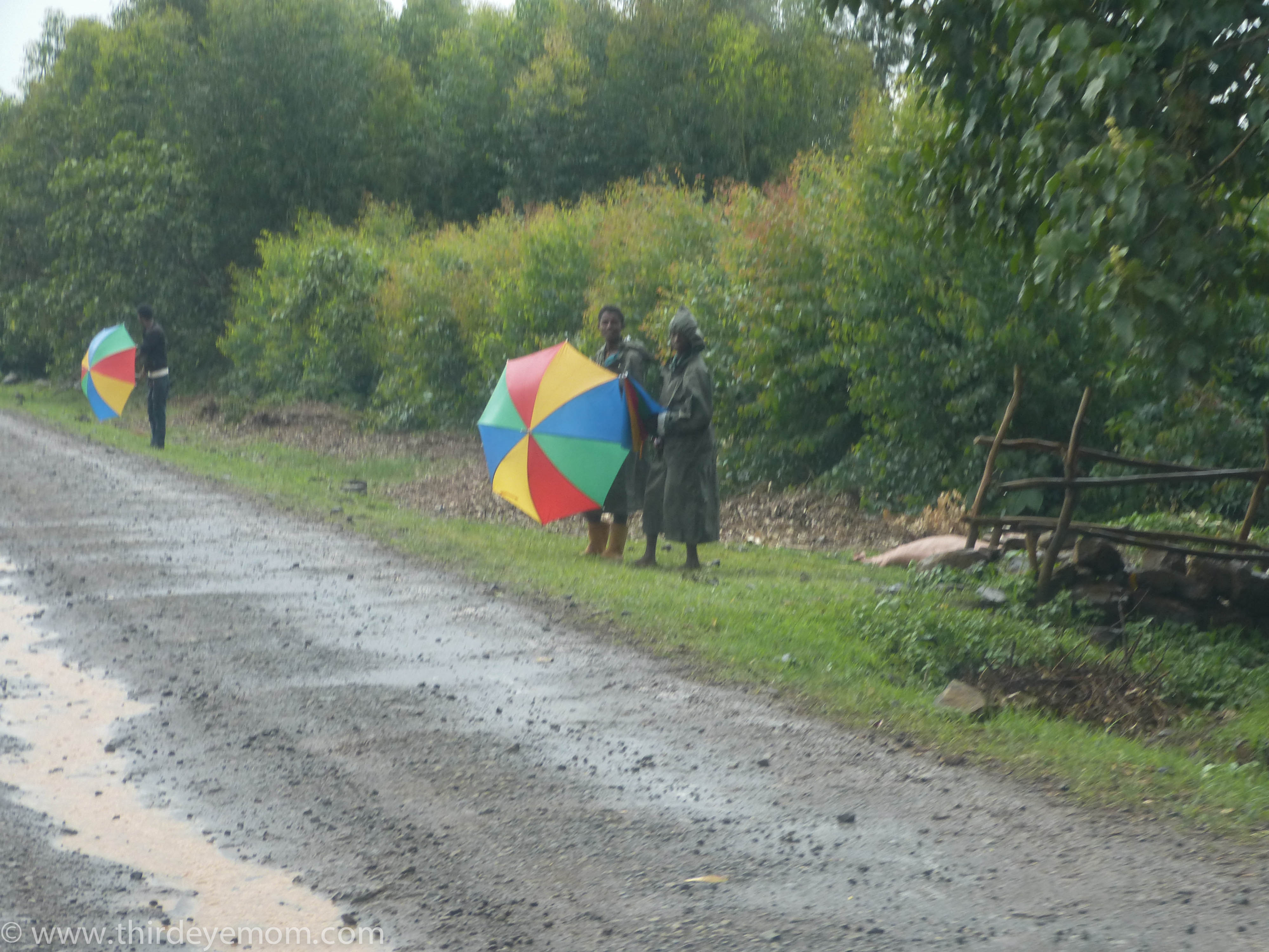 Rural life in Ethiopia - Thirdeyemom