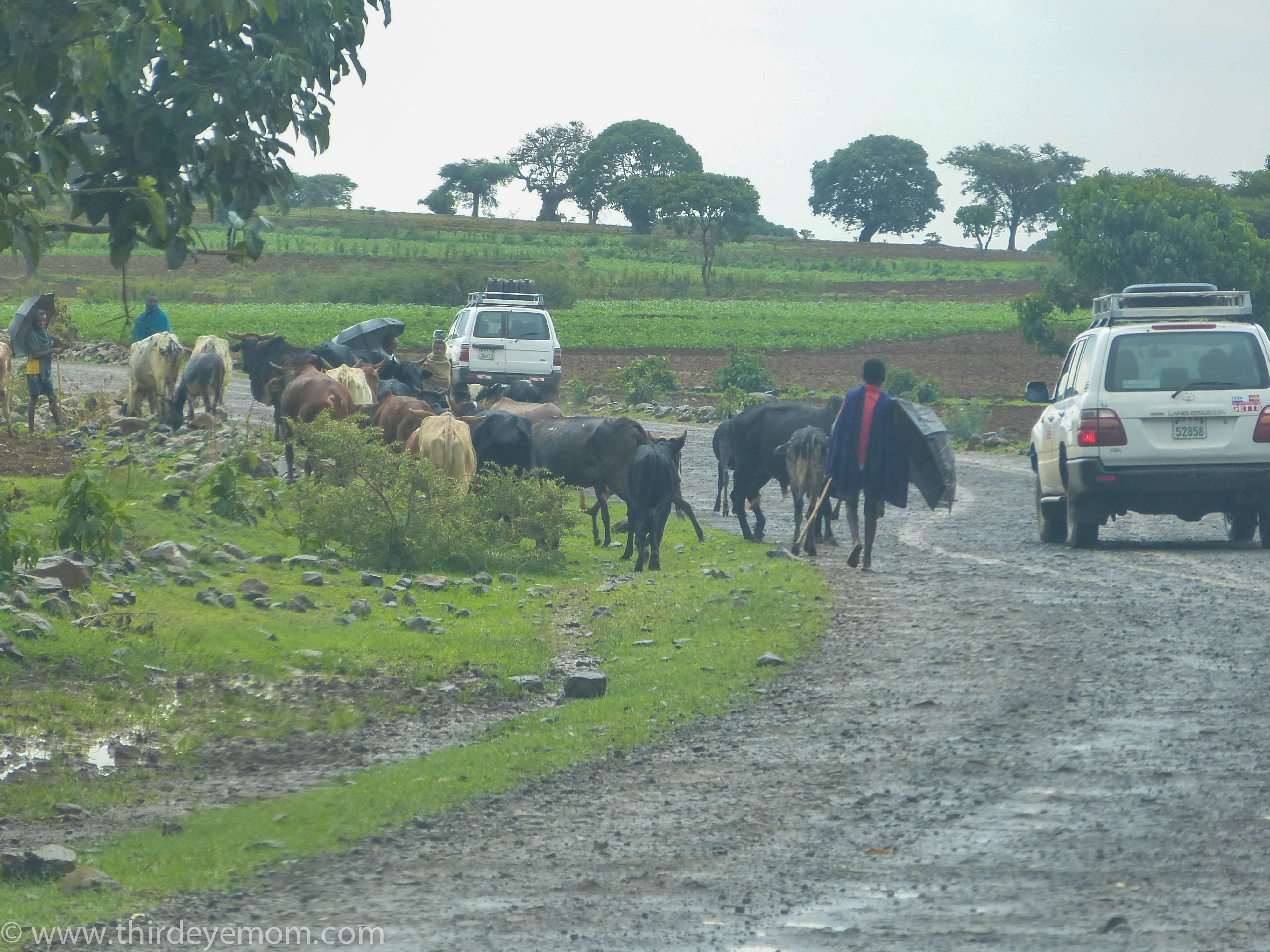 Rural life in Ethiopia - Thirdeyemom