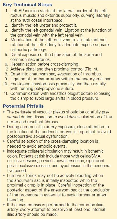 Pararenal Abdominal Aortic Aneurysm—Open Repair | Thoracic Key