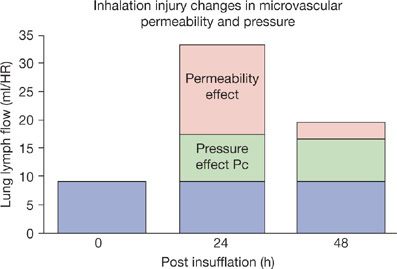 Thermal Lung Injury and Acute Smoke Inhalation | Thoracic Key