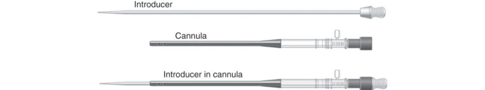 Cannulation and decannulation | Thoracic Key