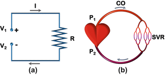 Vascular Hemodynamics and Blood Pressure | Thoracic Key