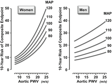 Pulse Wave Velocity and Arterial Stiffness Assessment | Thoracic Key