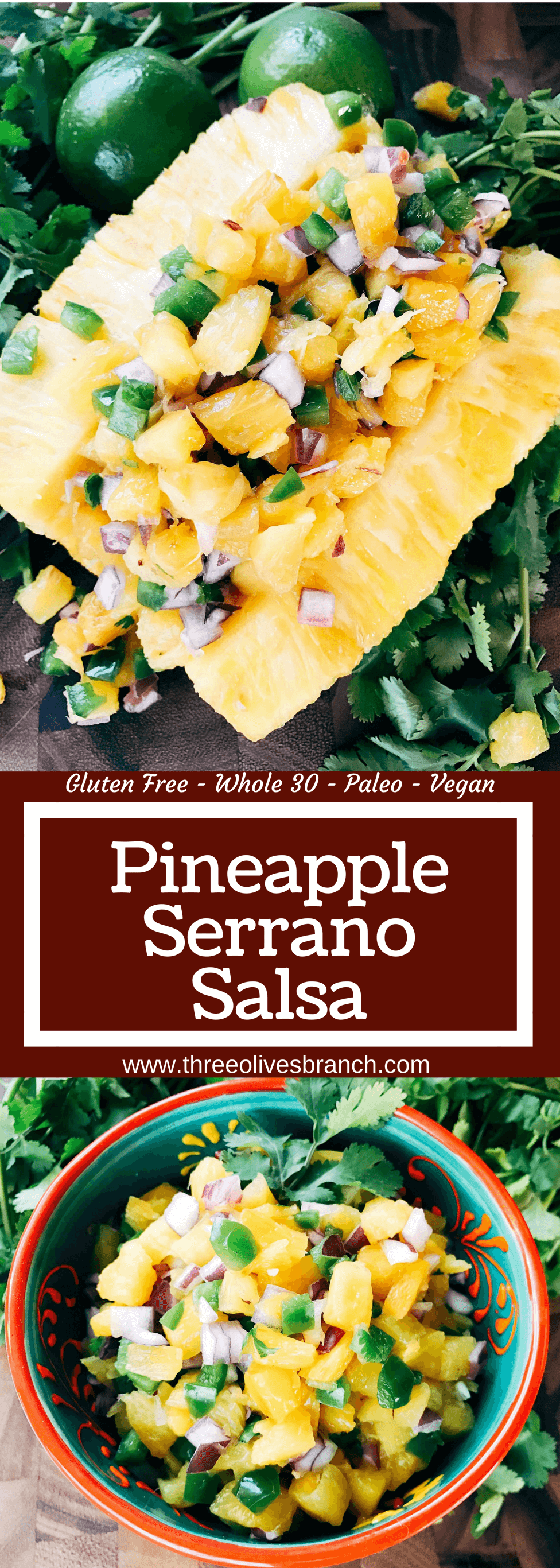 Pineapple Serrano Salsa - Three Olives Branch