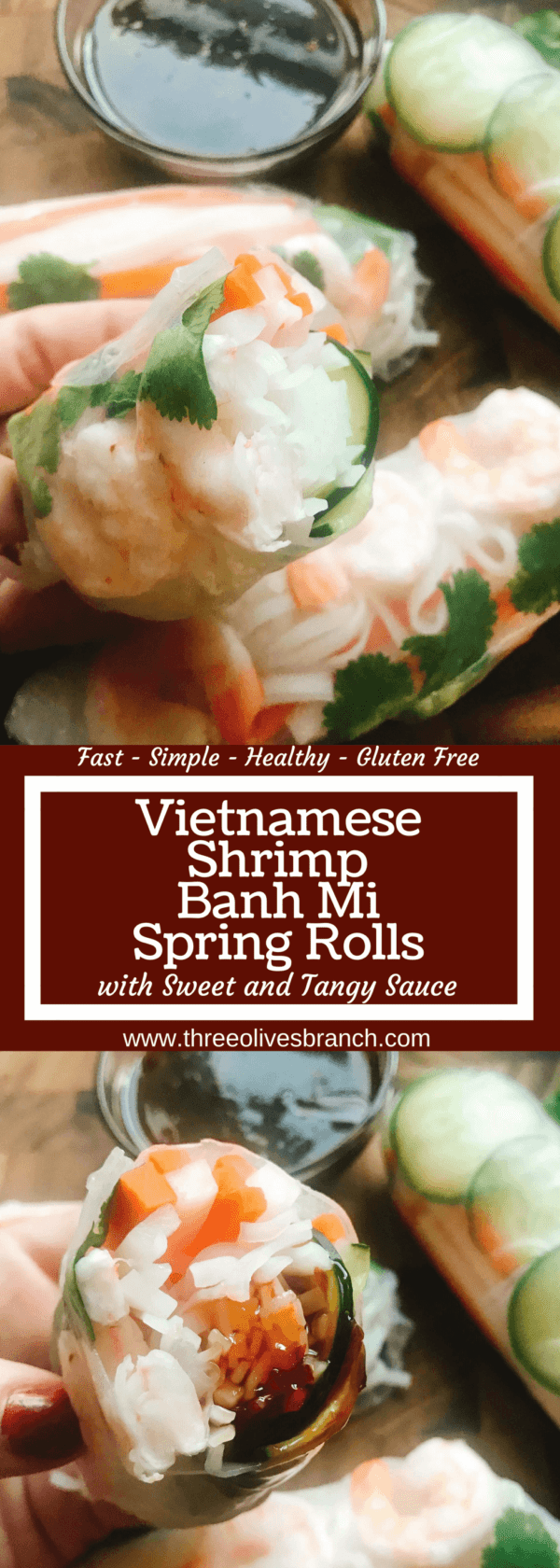 Vietnamese Shrimp Banh Mi Spring Rolls - Three Olives Branch