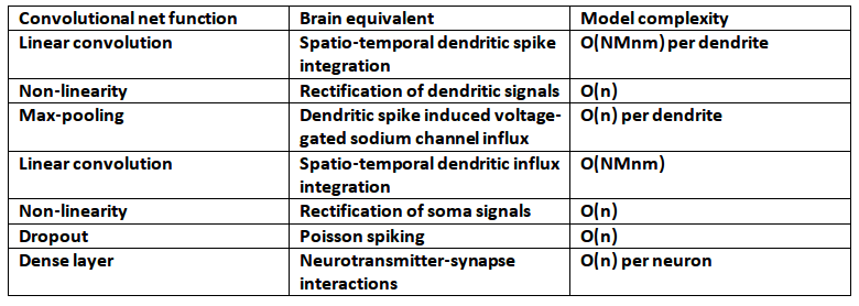 The Brain vs. Deep Learning vs. Singularity