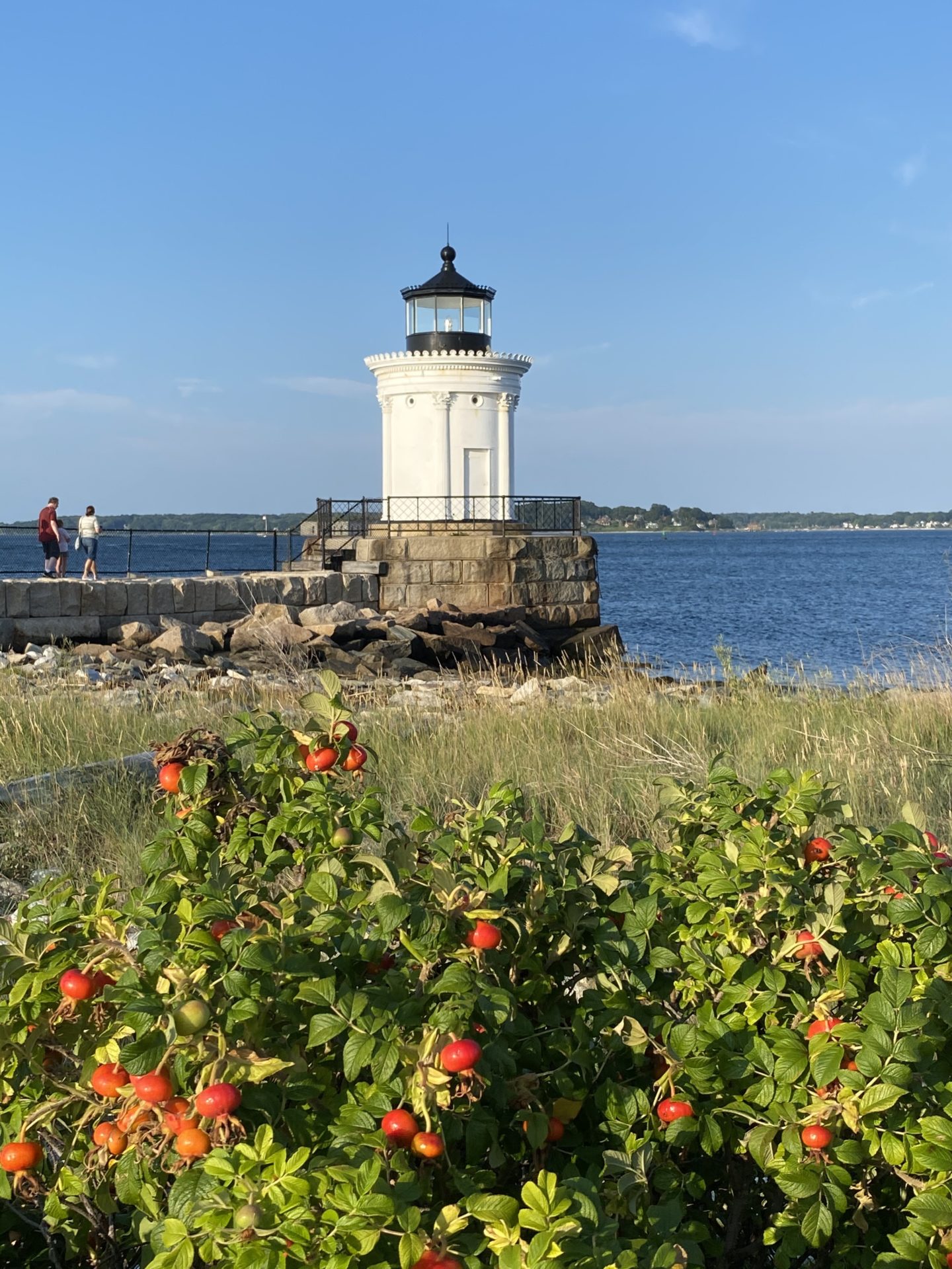 The Ultimate Maine Lighthouse Tour - Torly Travels
