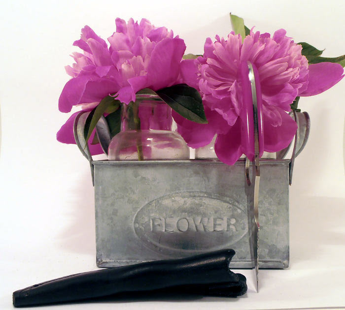 Bear Claw No13 – Toroly