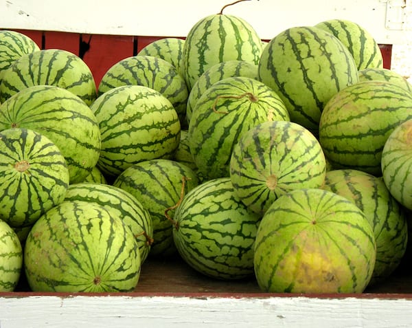 Watermelon Day at State Farmers Market-largest watermelon contest ...