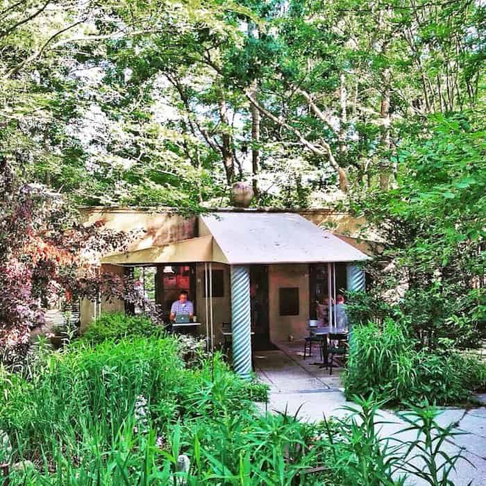 Guided Meditation at Caffé Driade in Chapel Hill - Triangle on the Cheap