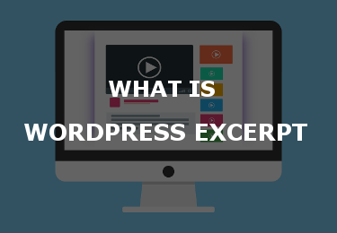 What is Wordpress Excerpt? How To Add Excerpt in Posts
