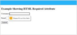 Best How To Make Input Text Bold In Html For Logo Design Typography 