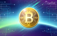 What Is 48 Bitcoin 2022 Cuanmologi