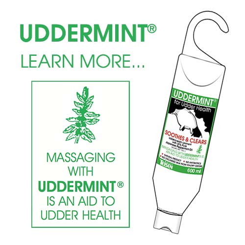 UDDERMINT® - the original formulation for udder health