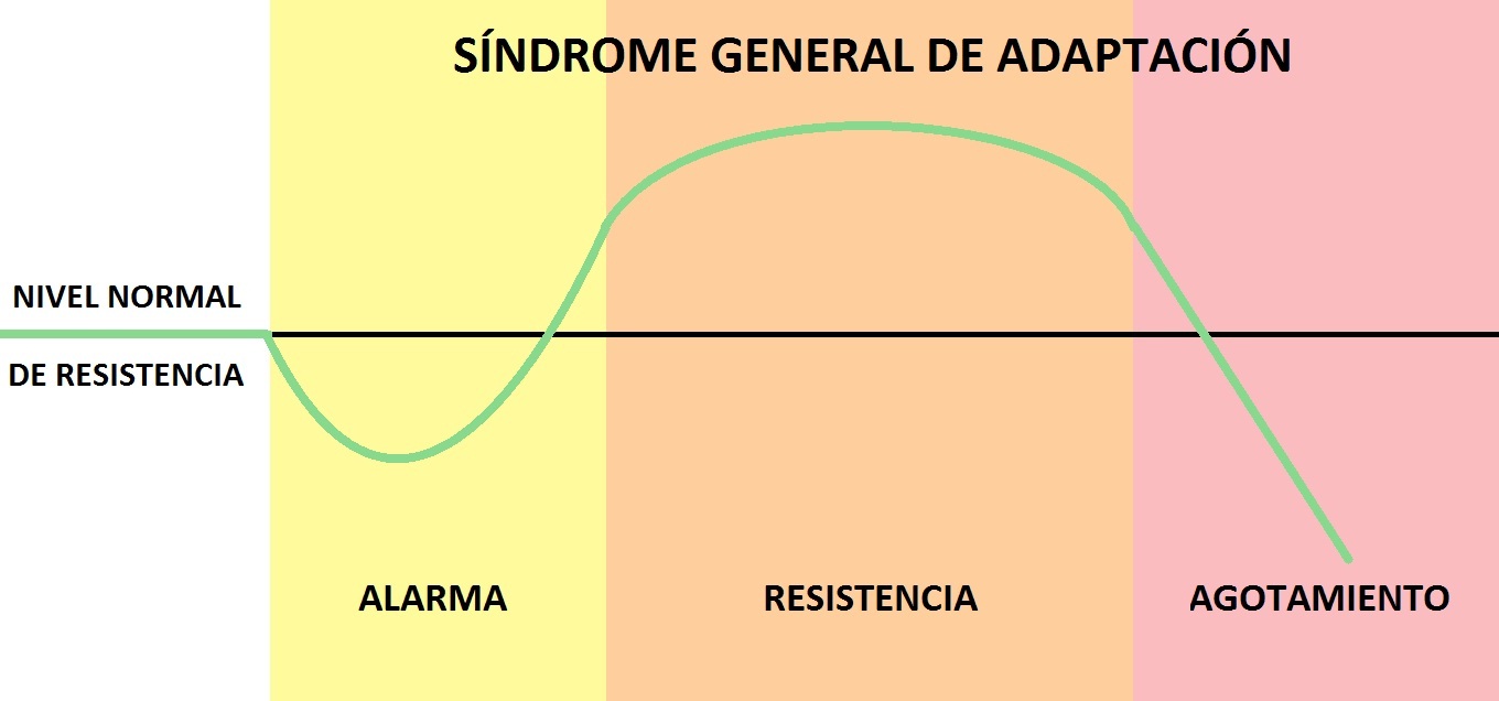 El estrés, ¿mecanismo de adaptación o patogénico? - ULUM
