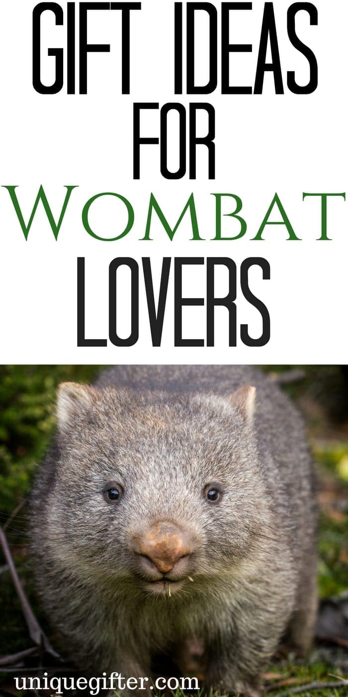 20 Gift Ideas for a Wombat Lover - Unique Gifter