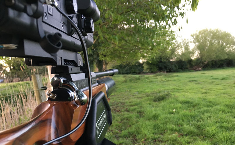 Rabbit Pest Control Problem – Barbot Farm Vermin and Pest Control