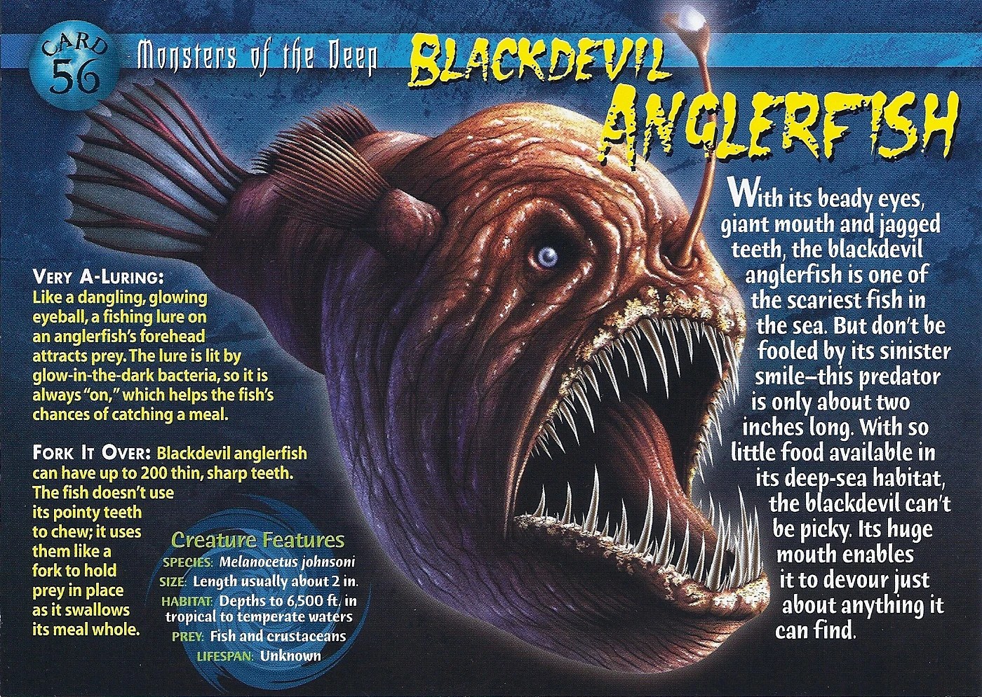 7 Angler Fish Size Comparison References Basdxcz 7-angler-fish-size-comparison-references-basdxcz