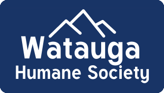 Watauga Animal Shelter - animal kingdom rapids