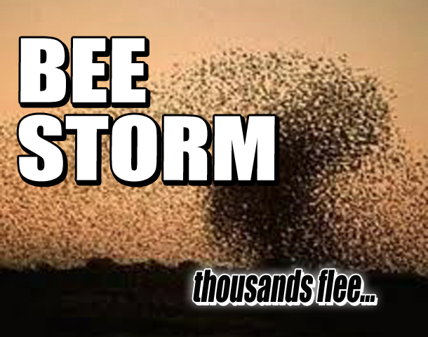 BEE STORM! - Weekly World News