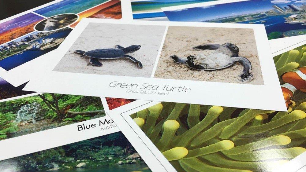 Services – Wellington Printers