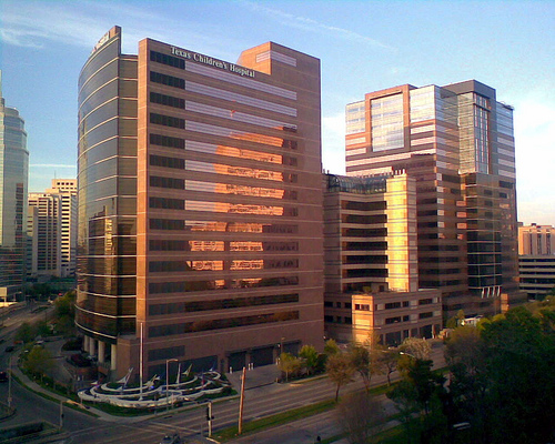 10 Things to Know Before You Start Your First Job | wellnessrounds