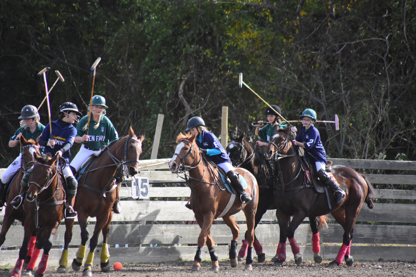 Newport Polo Hosts Middle School Tourney - What's Up Newp