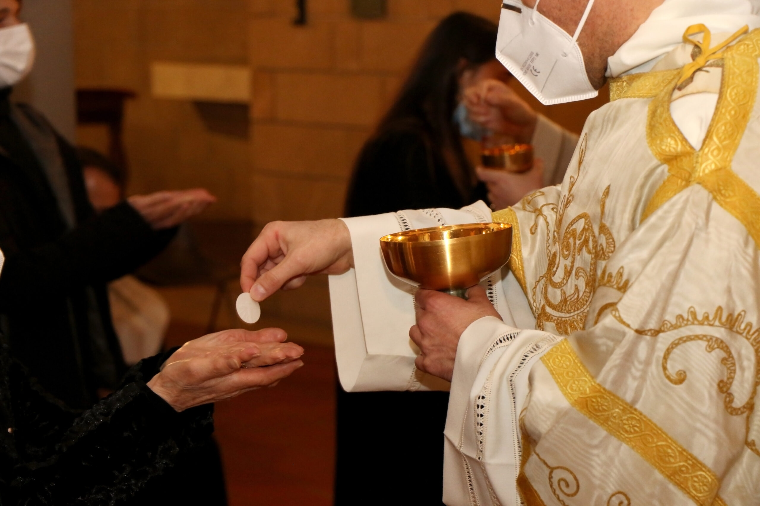 Stop Berating the Laity Over In-Person Mass - Where Peter Is