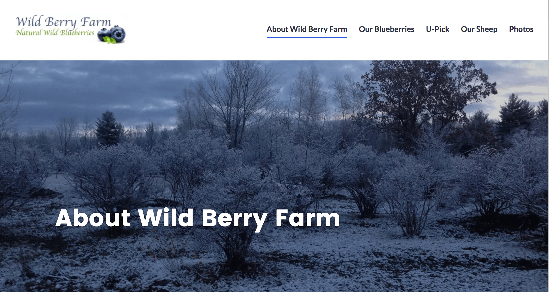 Wild Berry Farm – Wild Berry Websites