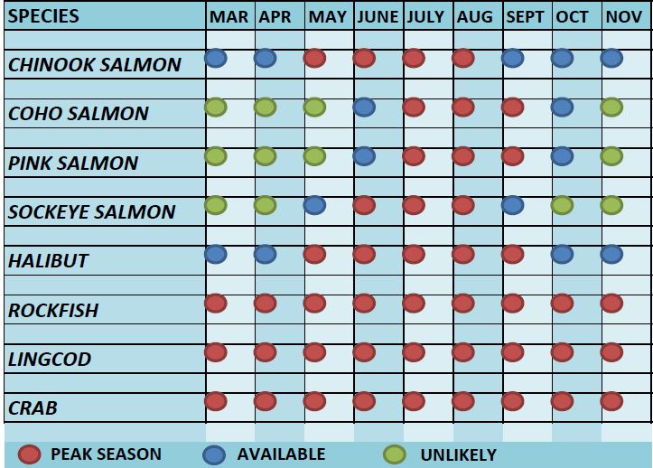 What can you catch? - Wildfish Charters