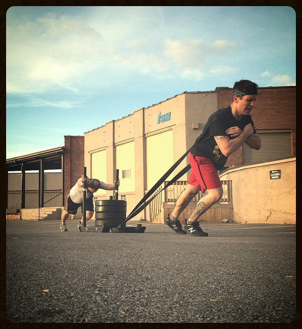 physical. 01/06/16 - Wolf Brigade