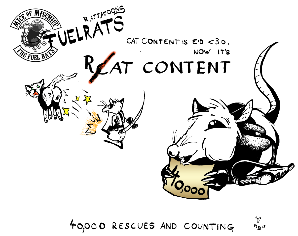 Blog | The Fuel Rats