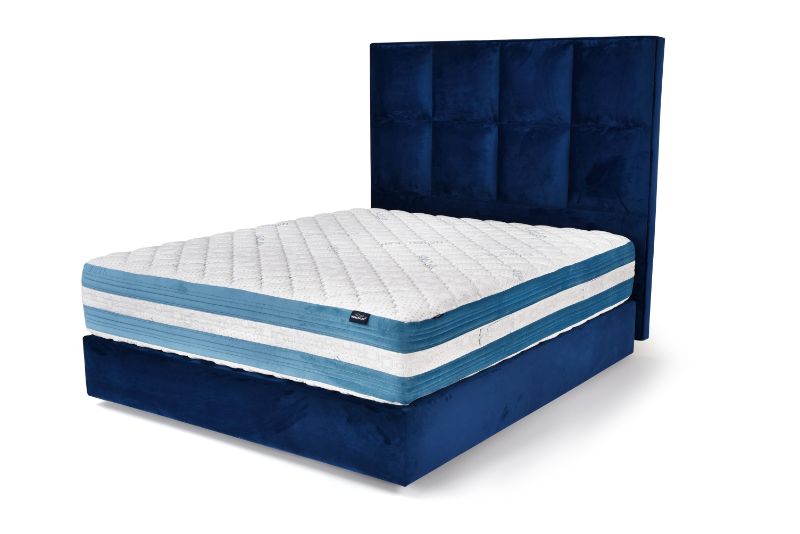 Dyshek Nanoclean - Worldflex