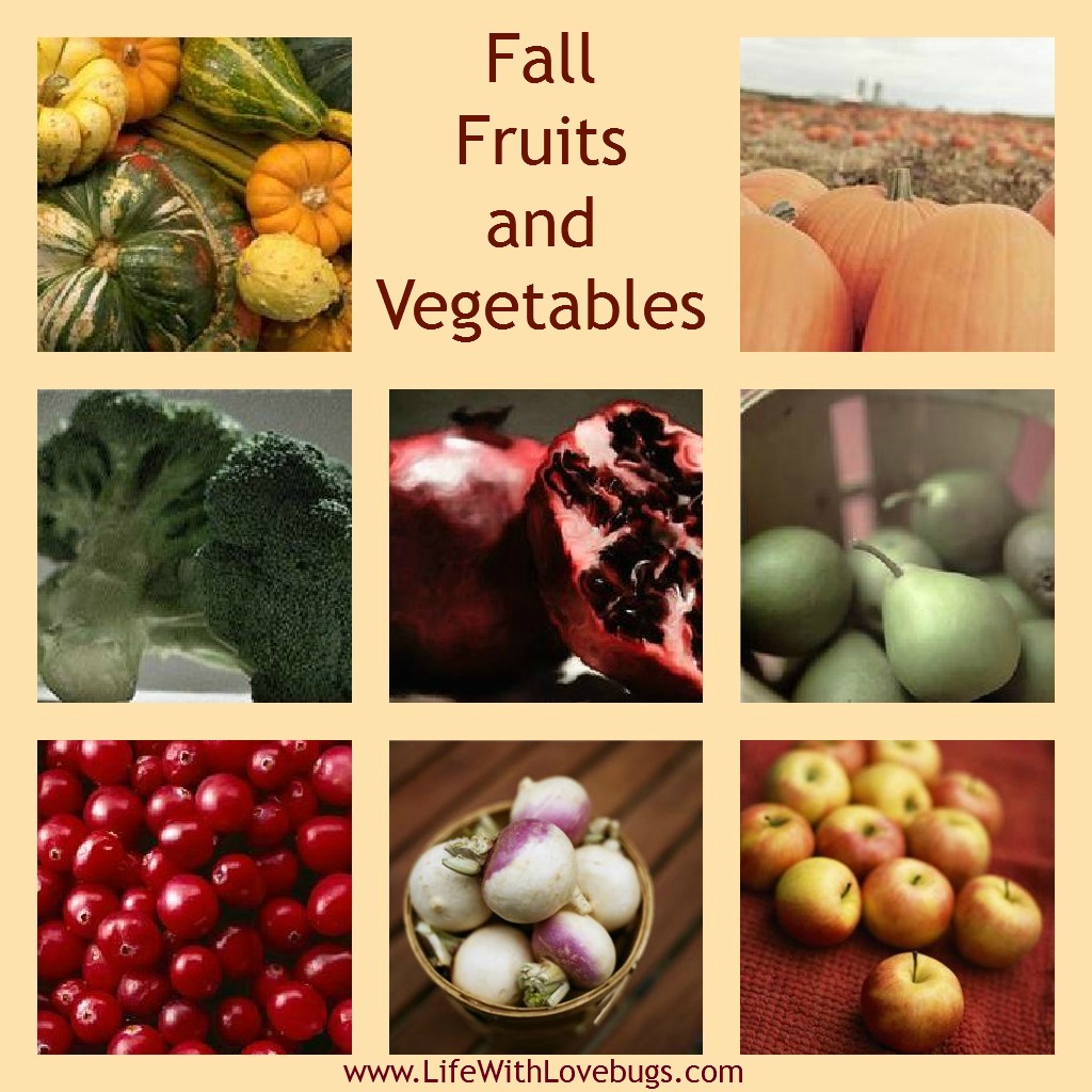Pictures And Names Of Fruits And Vegetables In The Fall