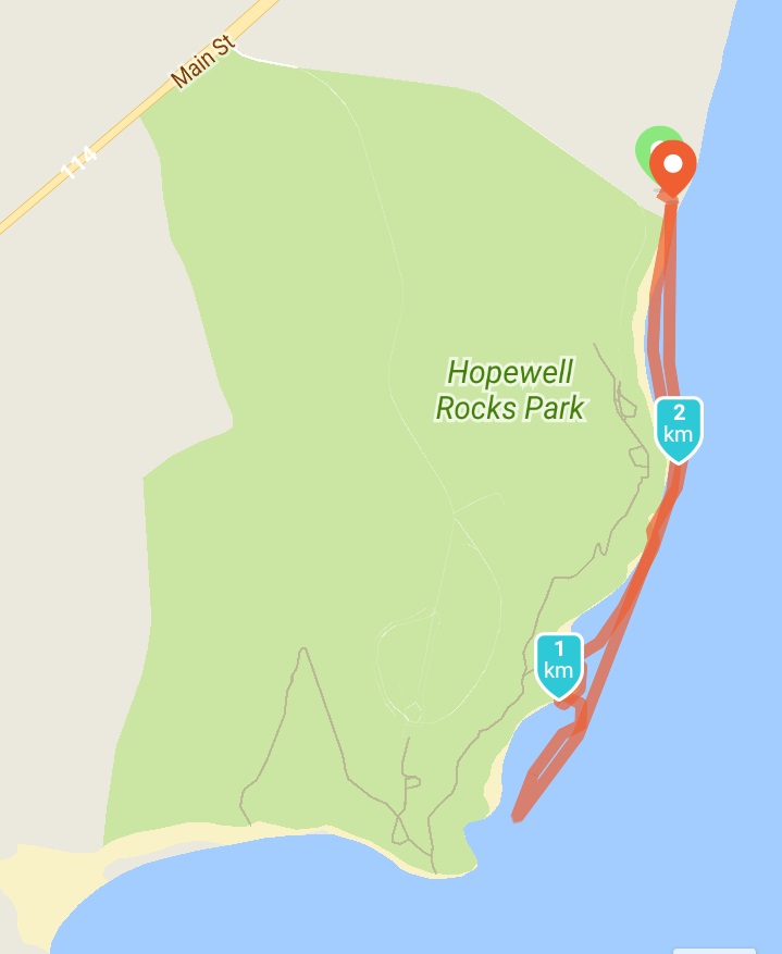 The Hopewell Rocks- A 2.5K Paddle in the Bay of Fundy | Adventure Report