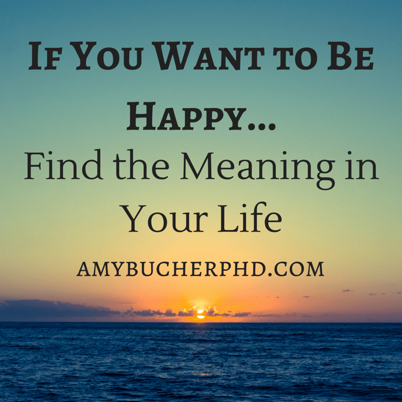 If You Want To Be Happy Find The Meaning In Your Life Amy if-you-want-to-be-happy-find-the-meaning-in-your-life-amy