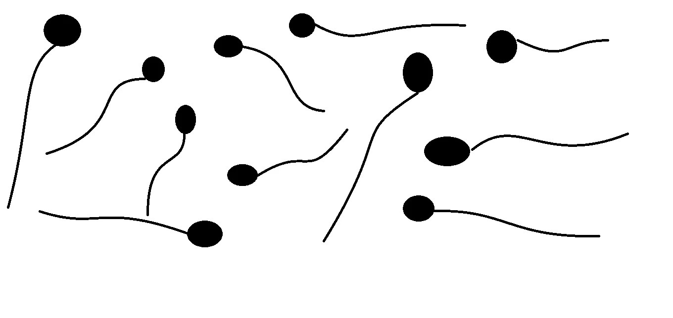 How To Know Sperm Count Without Test ? : Is it really possible?