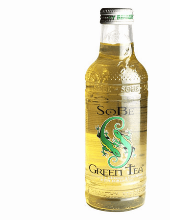 Lizards in a Bottle - Anole Annals