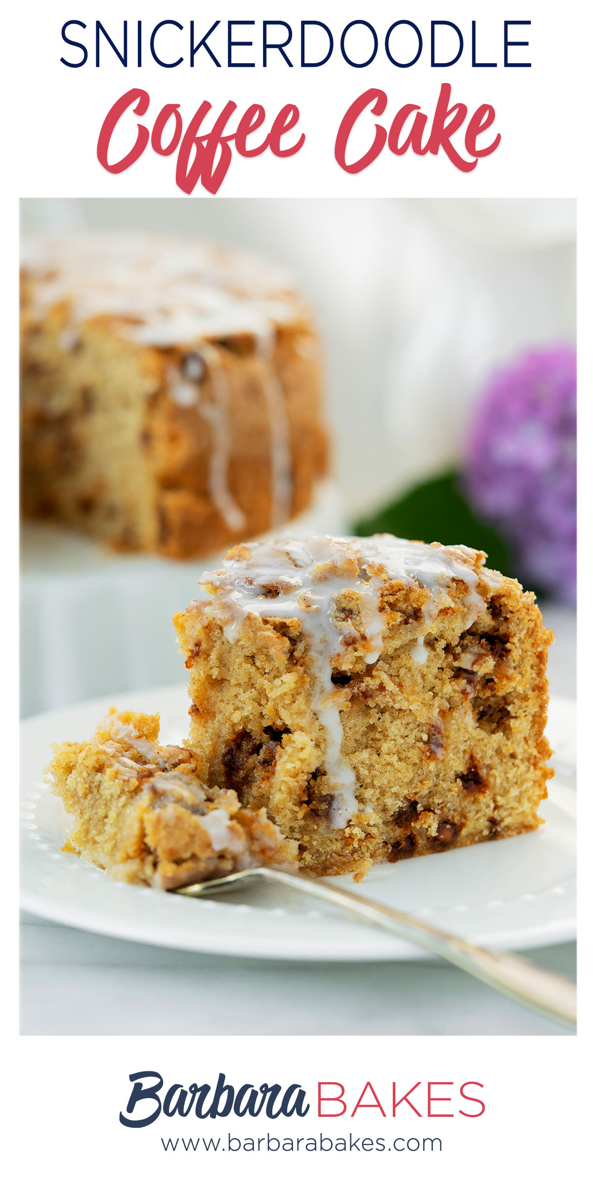 Snickerdoodle Coffee Cake Recipe | Barbara Bakes