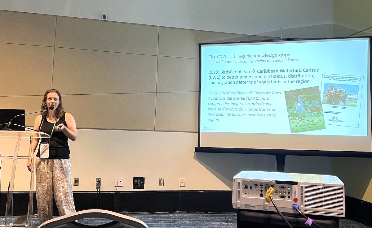 Resilience and Action: AOS-BC Conference in Puerto Rico Addresses ...