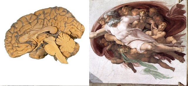 Brain on the Sistine Chapel? | Boing Boing