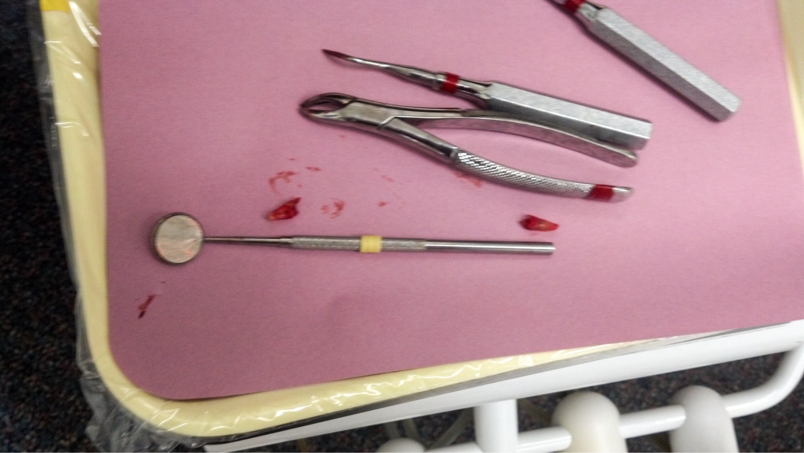 Tasting Pennies – Book Hermit