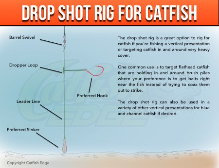 Drop Shot Rig For Heavy Cover Catfish