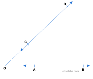 Parallel Lines - CBSE Tuts