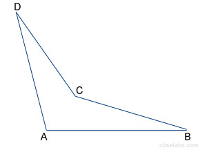 Polygons - CBSE Tuts