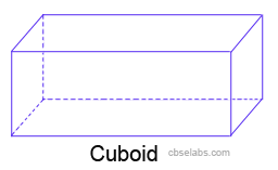 Cuboid - CBSE Tuts
